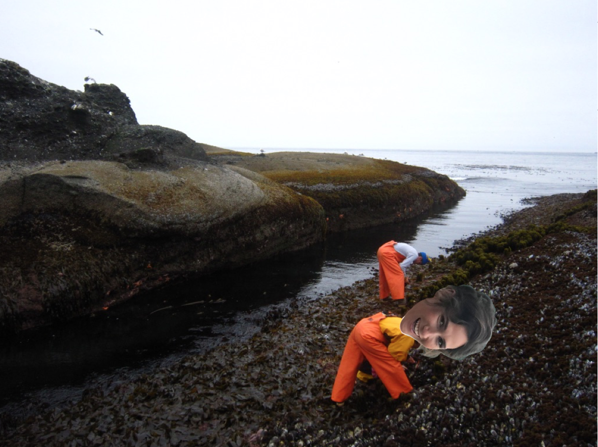 Mussel Filtration | Lyda Harris, PhD