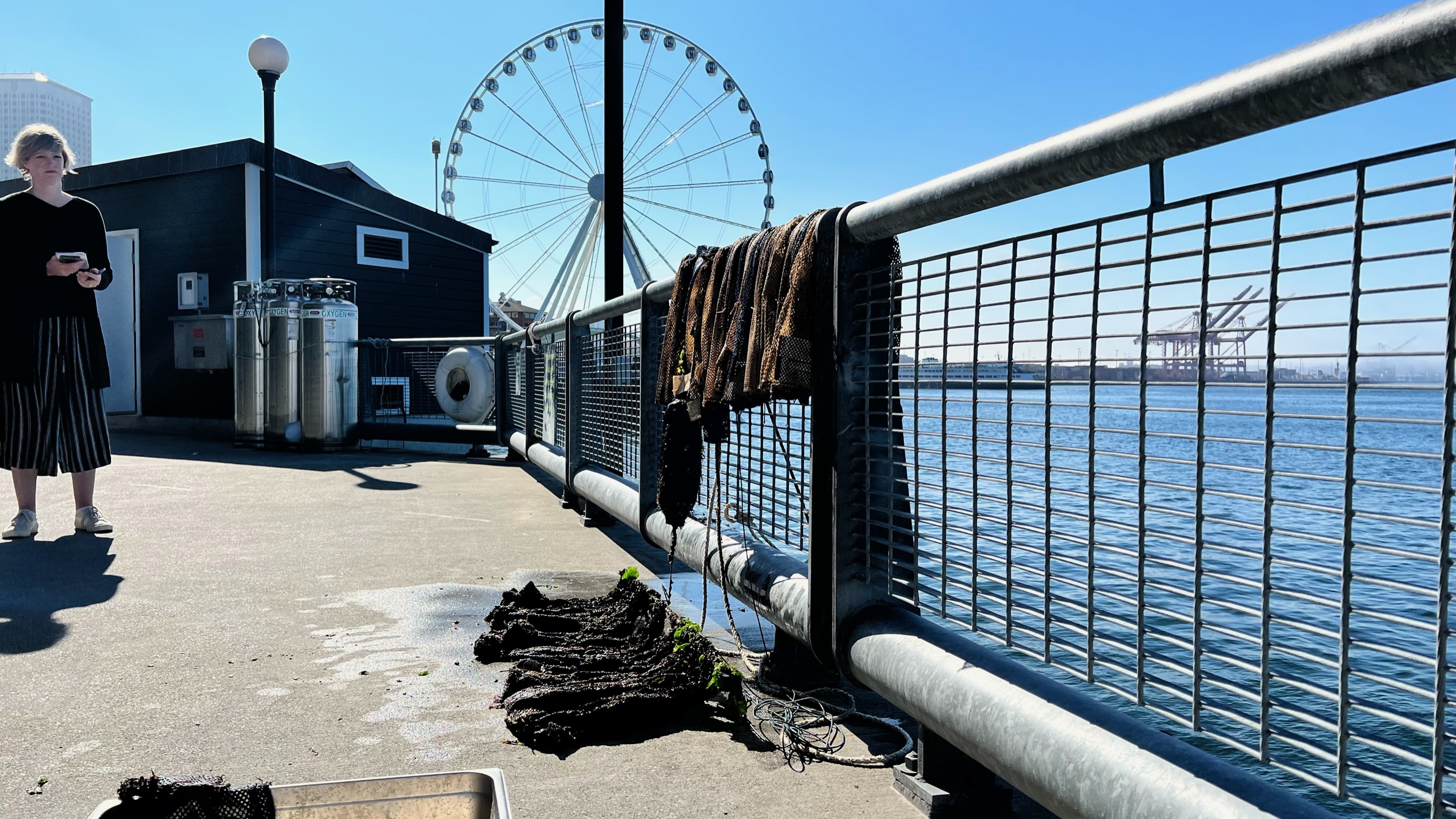 TOM FORD Plastic Innovation Prize (PIP) powered by Lonely Whale | Lyda ...